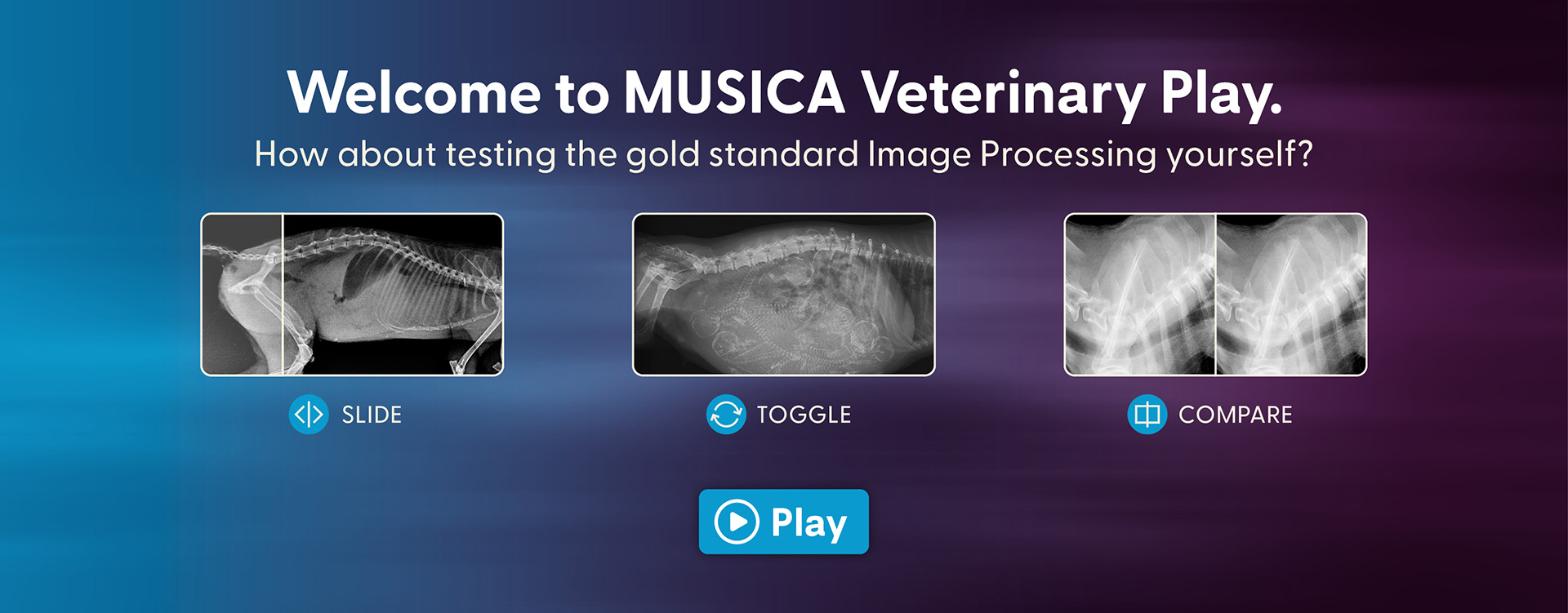 Veterinary Imaging Solutions